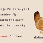 254+ Biology Riddles: Unravel the Mysteries of Life (2025)