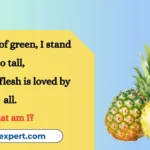 345+ Best Time Riddles (2025)⏳🕰️⌛