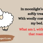 345+ Best Time Riddles (2025)⏳🕰️⌛